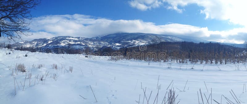 Winter environment stock image. Image of hoar, beautiful - 51139013