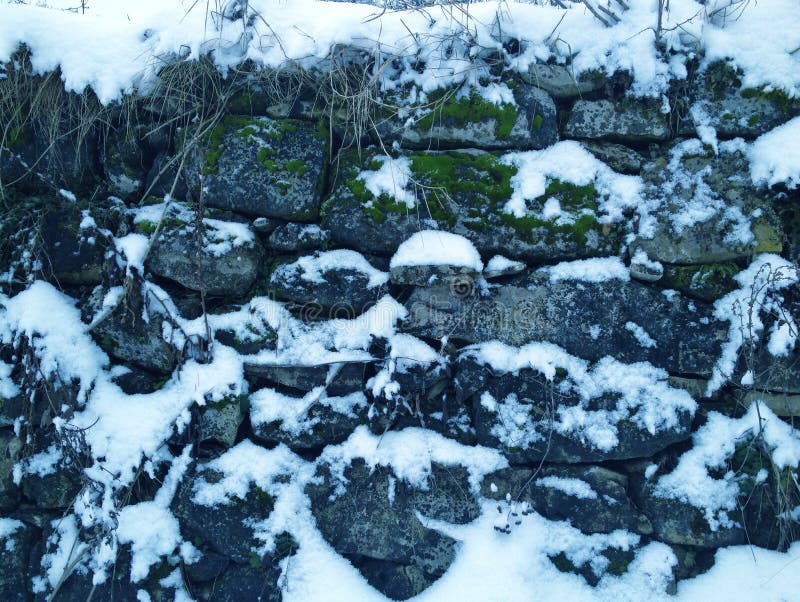 Winter environment stock photo. Image of rock, environment - 49403396