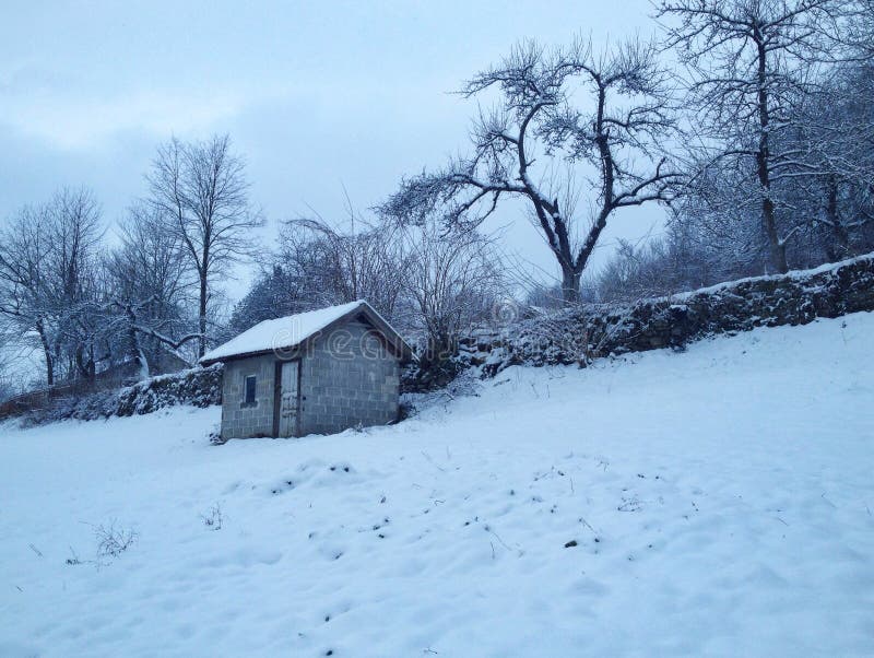 Winter environment stock image. Image of hoarfrost, rime - 49403507