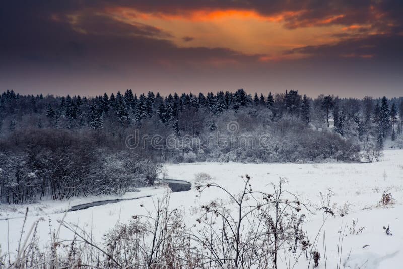Winter evening stock image. Image of nature, blue, estate - 19010639
