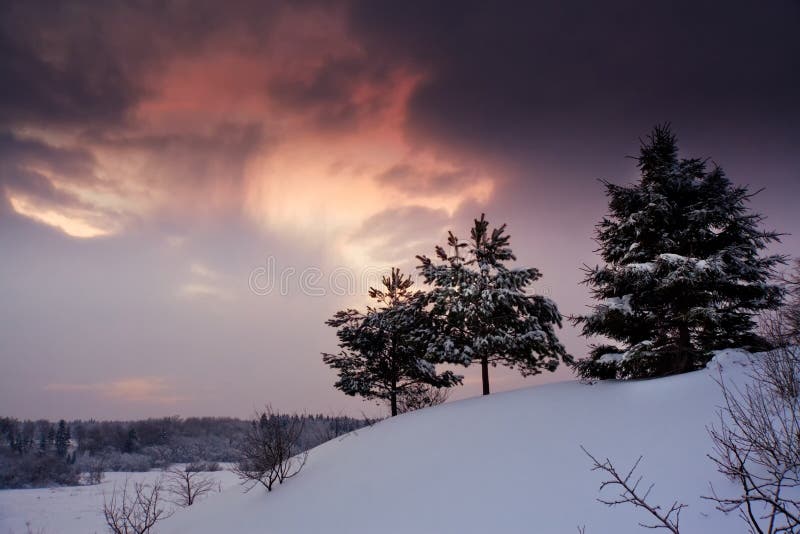 Winter evening stock photo. Image of panorama, deep, park - 19010660
