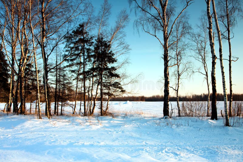 Winter evening stock image. Image of light, place, country - 27920765