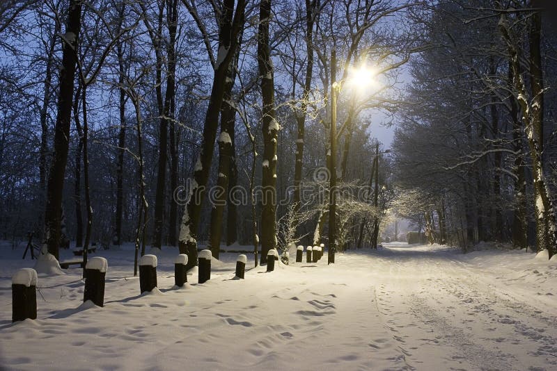 Winter evening stock photo. Image of snowflakes, night - 3974614