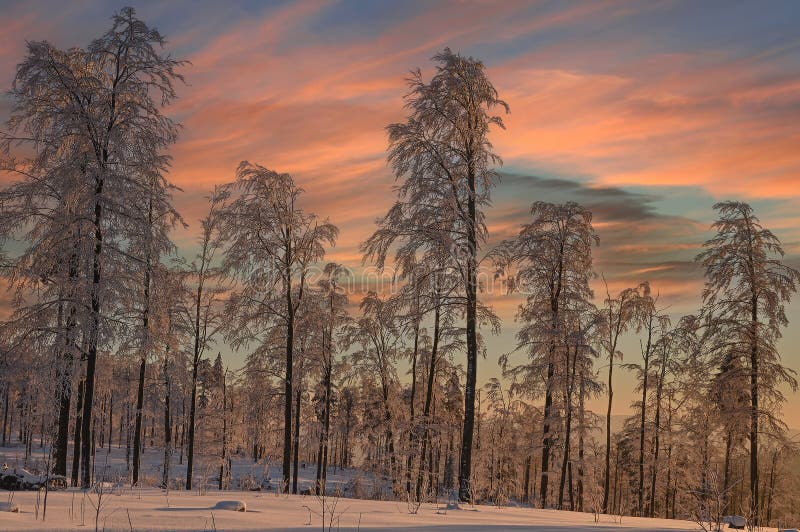 Winter Evening in Bavarian Forest ,Germany Stock Photo - Image of ...