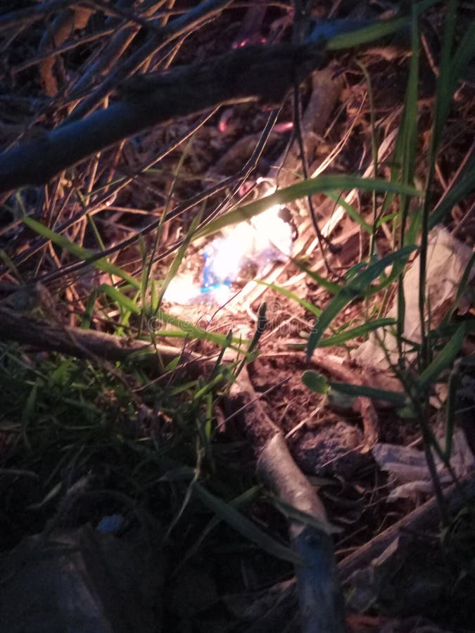 Winter fire stock photo. Image of cold, green, heat - 105707666