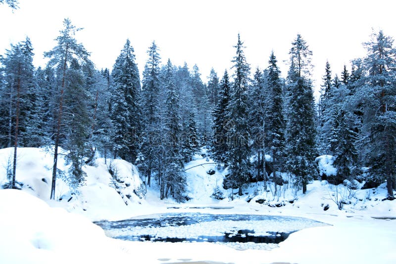 Evening in Deep Forest Lake Stock Photo - Image of dark, flowing: 11679800