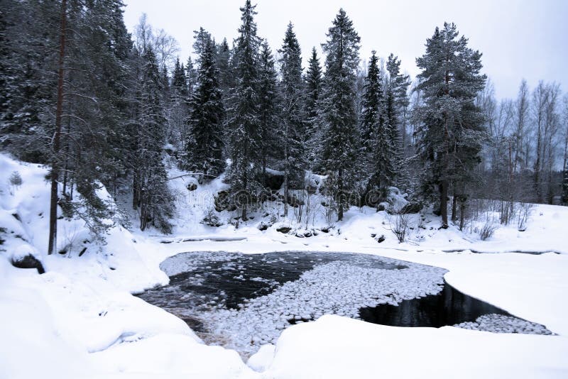 Winter Evening in Forest in Lake Stock Photo - Image of light ...