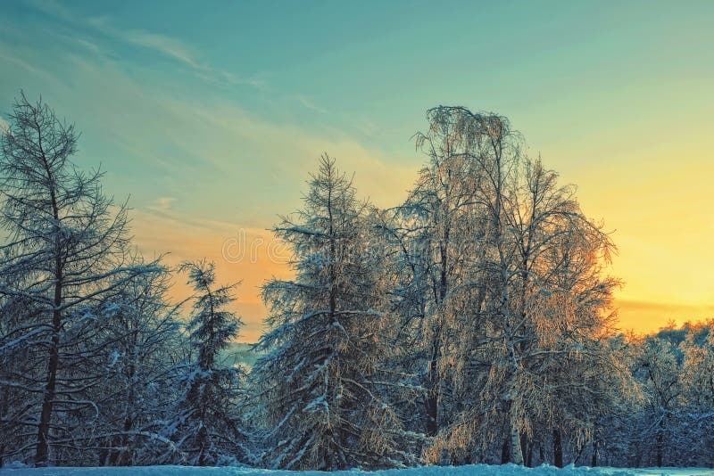 Winter evening landscape stock image. Image of blue, cold - 18387981