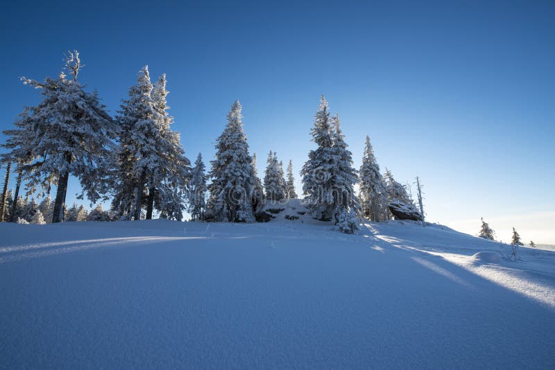 Winter evening landscape stock photo. Image of rime, outdoor - 28904428