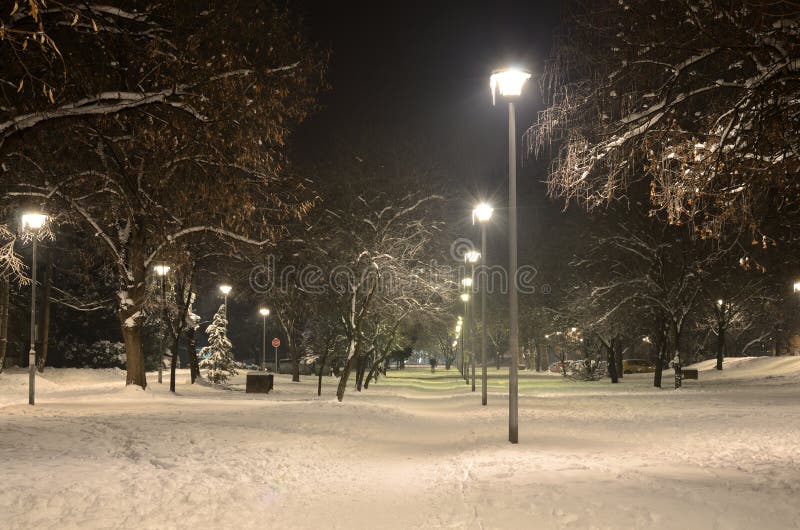 Winter Evening in a Park stock image. Image of season - 84939221