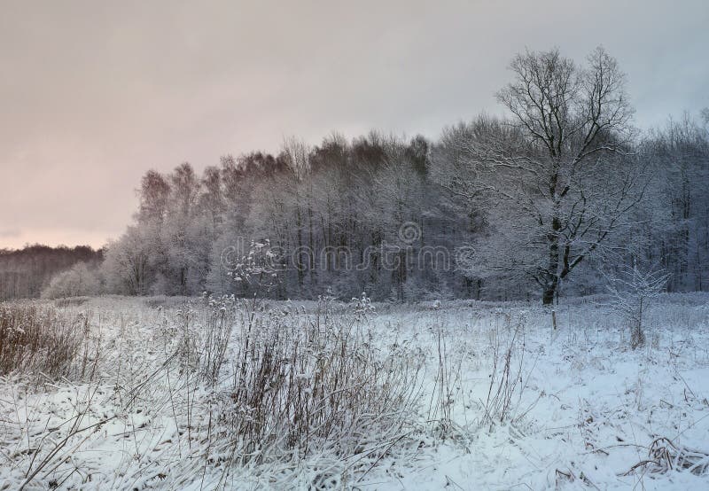 Winter evening scene stock image. Image of scenery, tranquil - 64992479