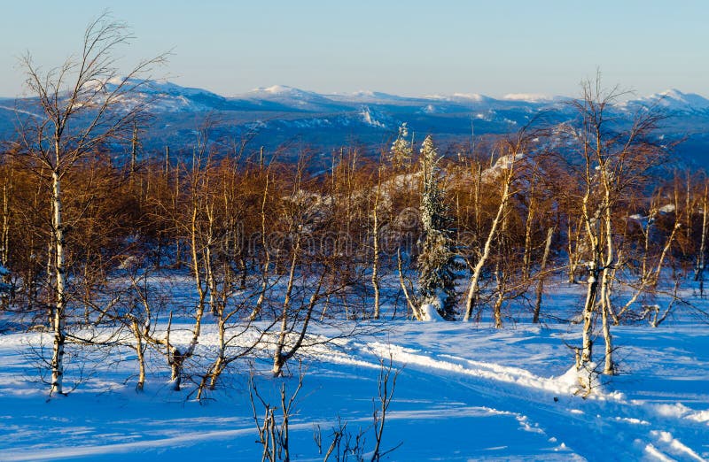 Winter Evening in the Ural Mountains Stock Photo - Image of grove ...
