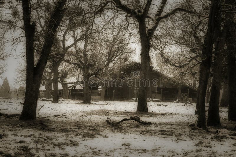 Siepia Stock Photos - Free & Royalty-Free Stock Photos from Dreamstime