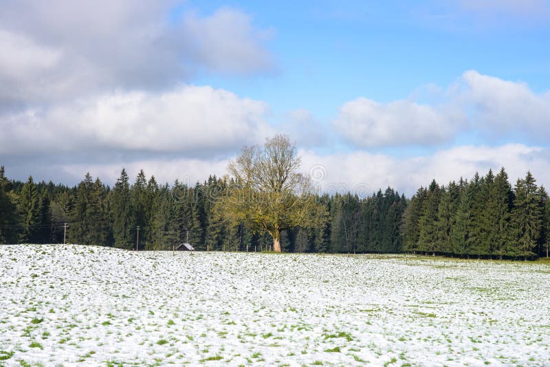 Winter Farm Field Landscape Stock Image - Image of travel, seasonal ...