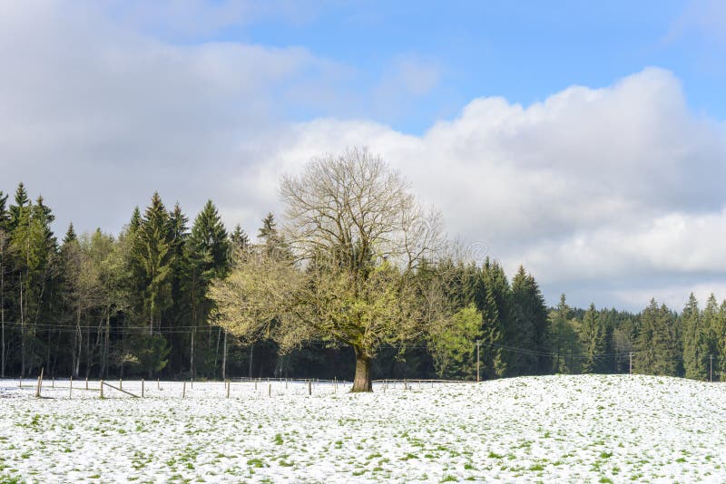 Winter Farm Field Landscape Stock Image - Image of view, land: 51494459