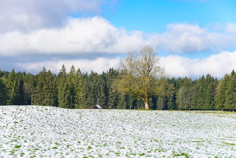Winter Farm Field Landscape Stock Photo - Image of silence, seasonal ...