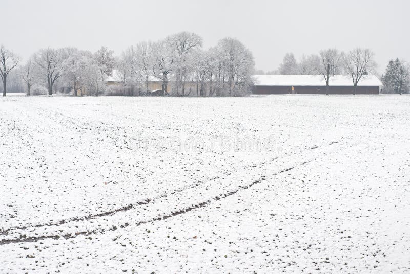 Winter Farming stock photo. Image of farmhouse, environment - 12190044