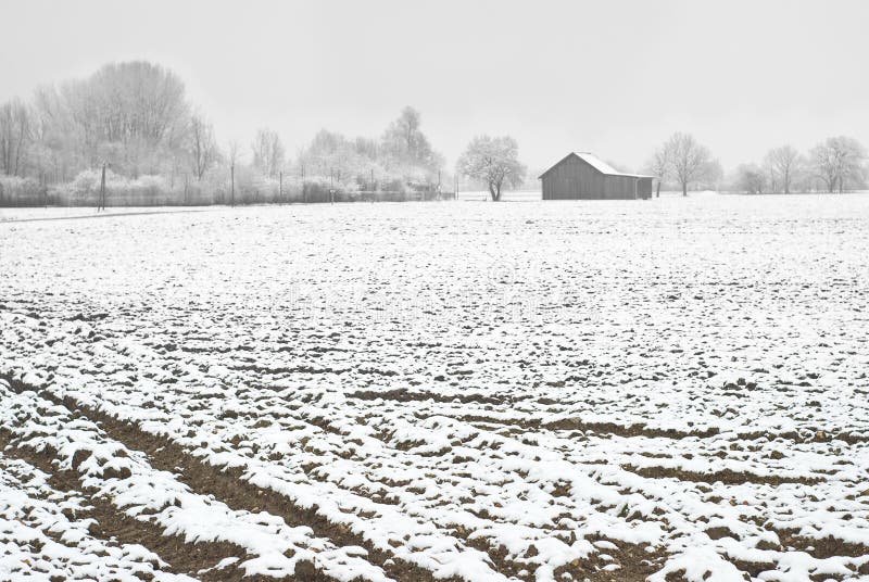 Winter Farming stock image. Image of december, food, farm - 12190079
