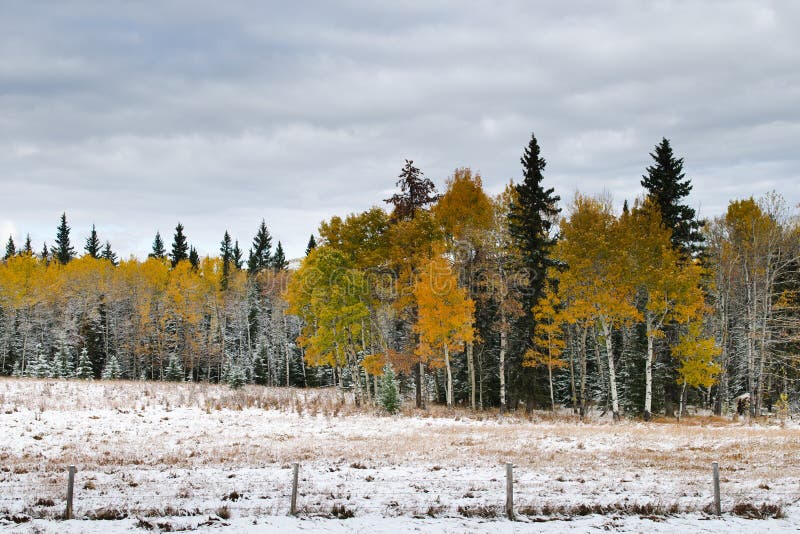 Winter Farmland stock image. Image of landscape, season - 28458485