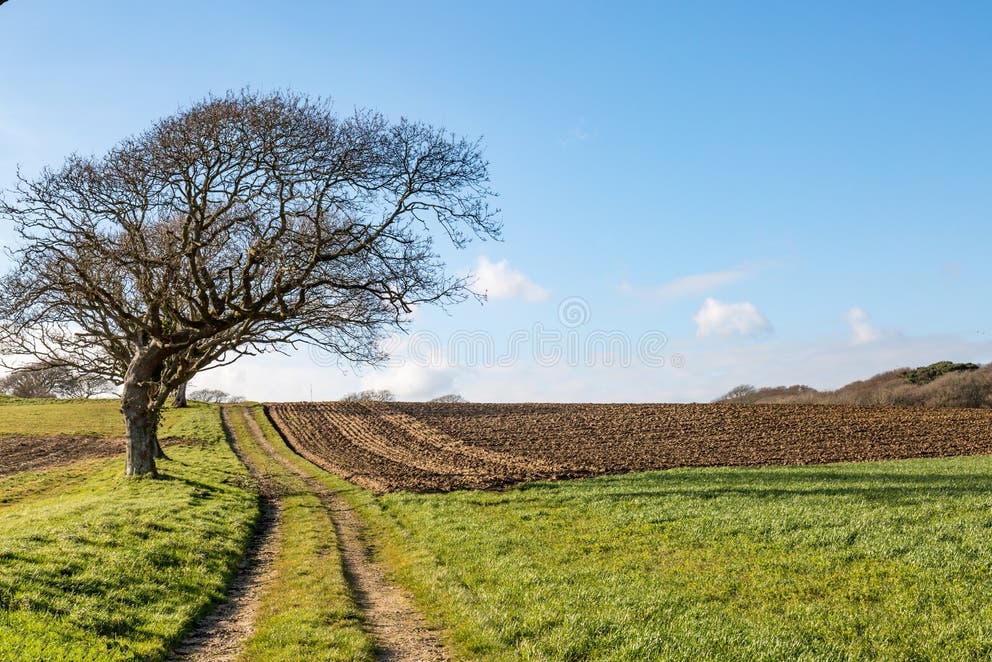 Winter Farmland stock photo. Image of clouds, horizontal - 110384476