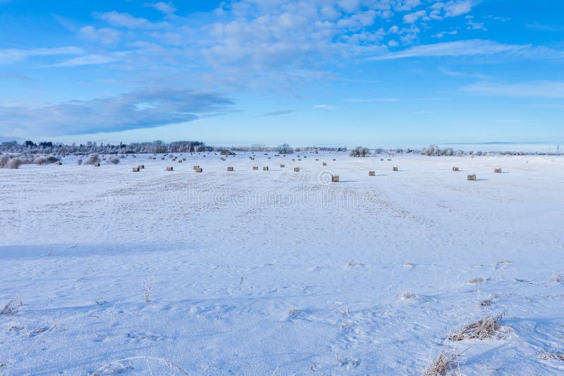 Winter farmland scenery stock photo. Image of land, prairie - 32466308