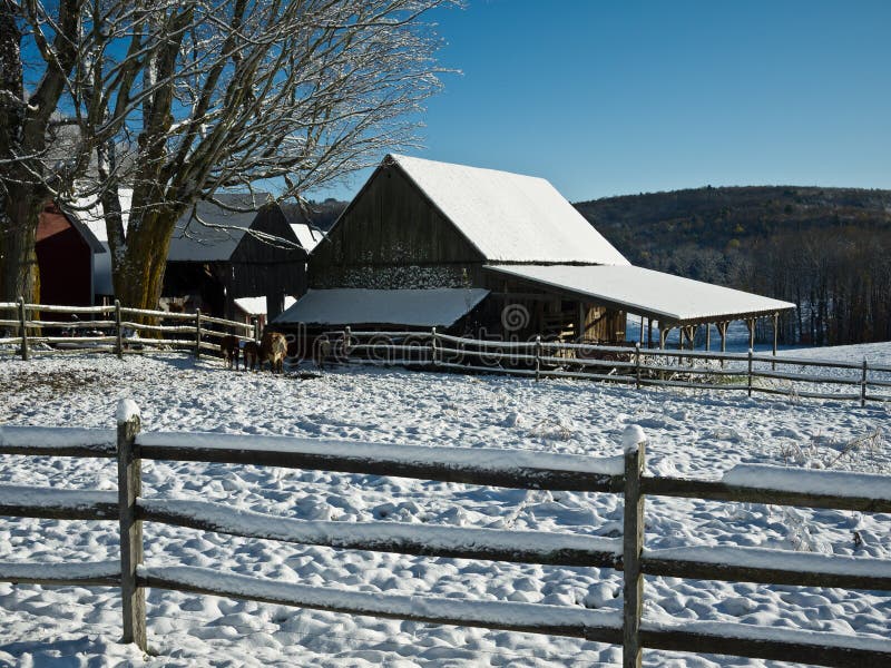Winter Farm Scene with Red Barn and Snow Stock Photo - Image of rural ...
