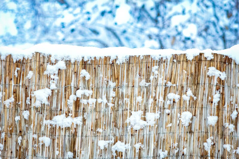 A Winter Fence on Nature in the Park Background Stock Photo - Image of ...