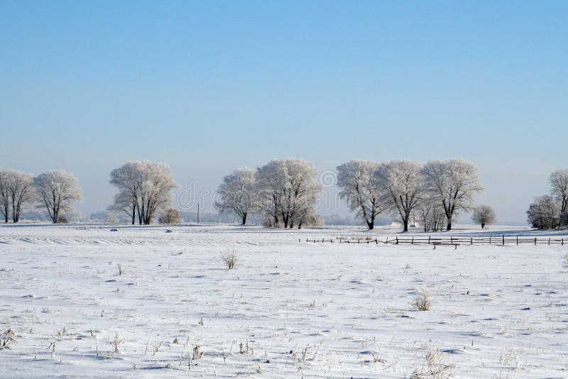 Winter field stock photo. Image of snowy, fence, field - 15058032