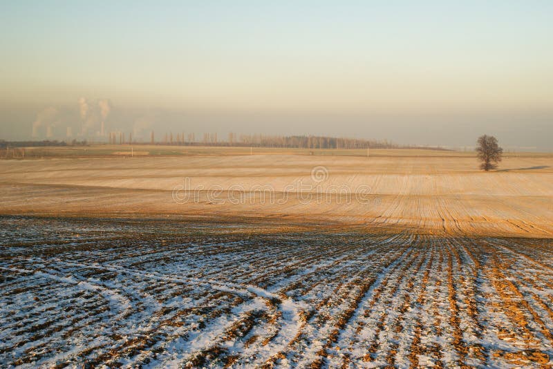 Winter in the field stock image. Image of fields, winter - 23449865