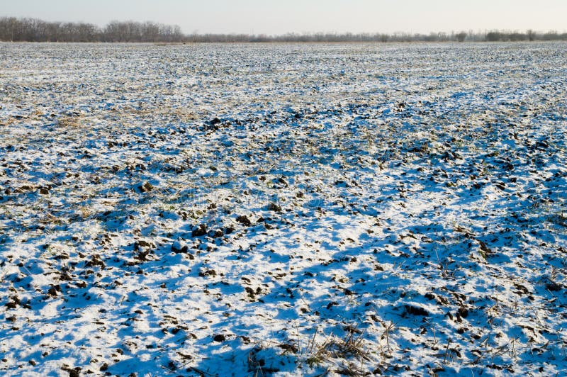 Winter field stock image. Image of landscape, cold, view - 7625787