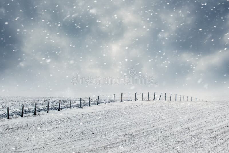 Winter Field with Cloudy Sky during a Blizzard Stock Photo - Image of ...