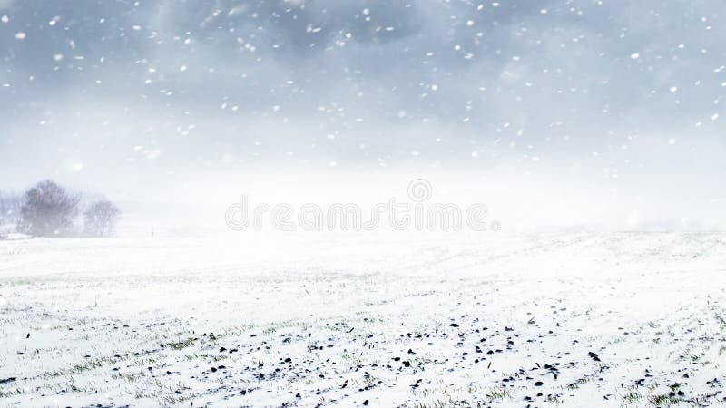 Winter Field with Cloudy Sky during Snowfall Stock Photo - Image of ...