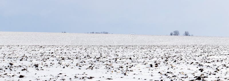 The Winter Field with Plowed Soil is Covered with the First Snow Stock ...
