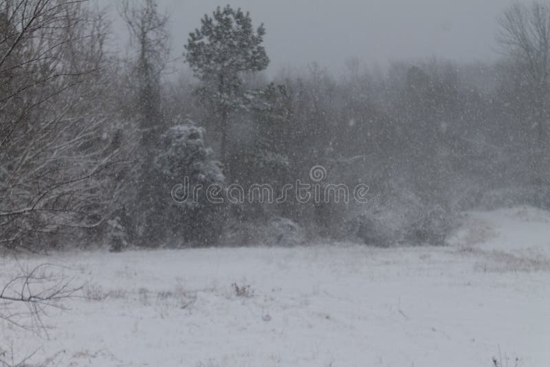Winter Field during a Storm Stock Photo - Image of showing, pass: 134535740