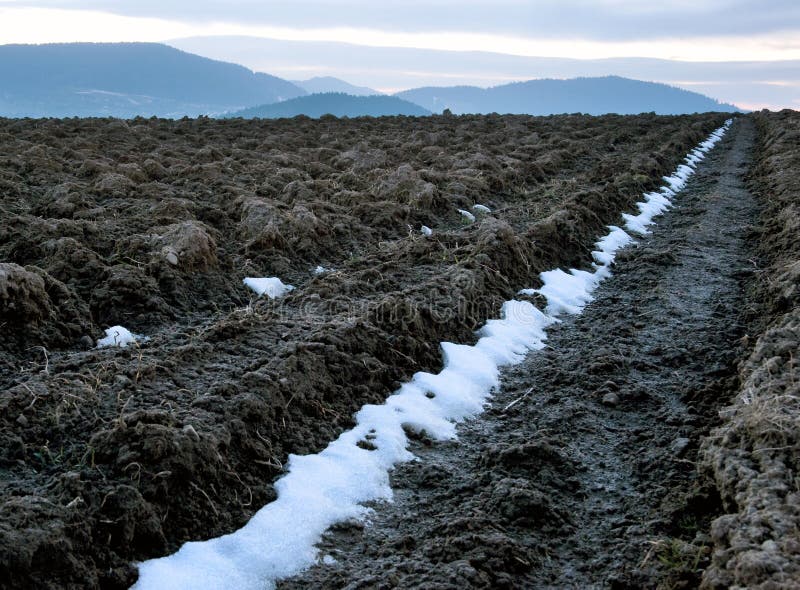Winter Field - Very First Day of Spring Stock Photo - Image of winter ...