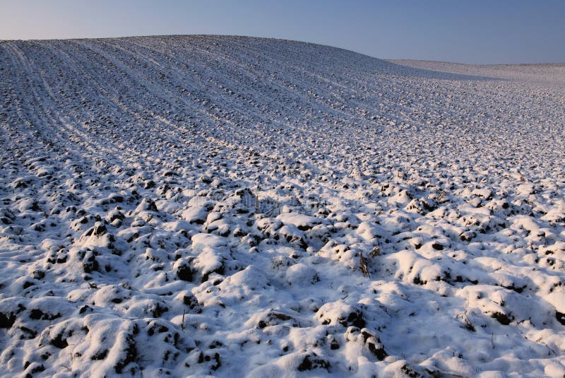 Winter fields stock photo. Image of freeze, republic - 17729130