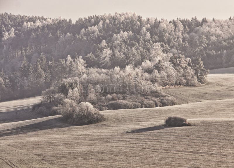 Winter Fields and Forests in Low Light Stock Photo - Image of rural ...