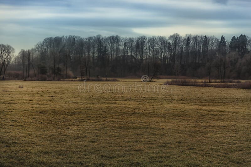 Winter fields stock photo. Image of brown, scene, horizontal - 85383170