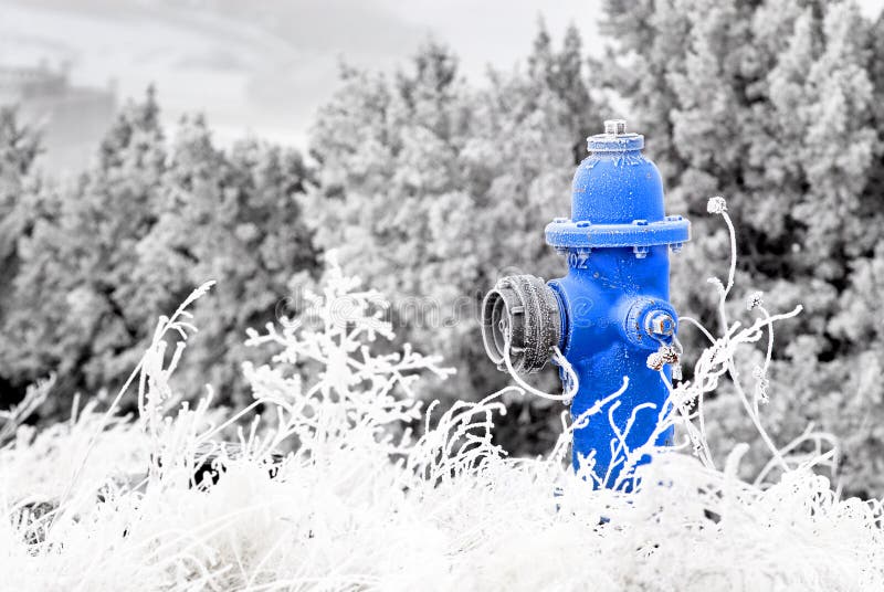 Winter Fire Hydrant stock photo. Image of protect, connect - 70463288