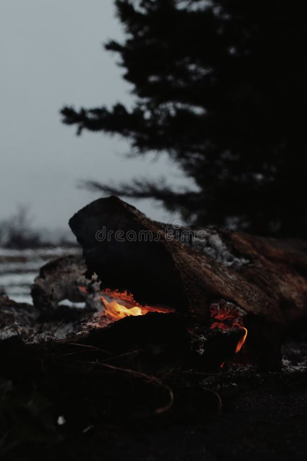 Winter fire stock image. Image of bonfire, memories, time - 84304739