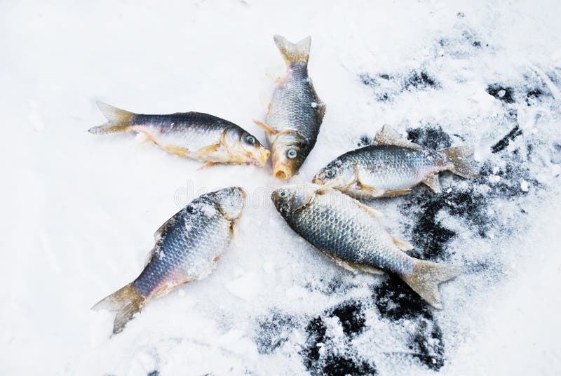 Winter fishing stock image. Image of bait, break, hole - 11978841