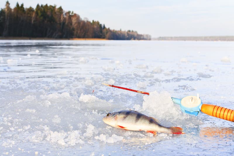 Winter fishing stock image. Image of outdoors, fish, january - 11978971