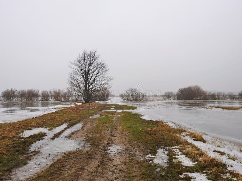 Winter Flood in Field, Lithuania Stock Image - Image of landscape ...