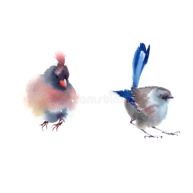 Winter Fluffy Soft Bird Hand Drawn Watercolor Stock Illustration ...