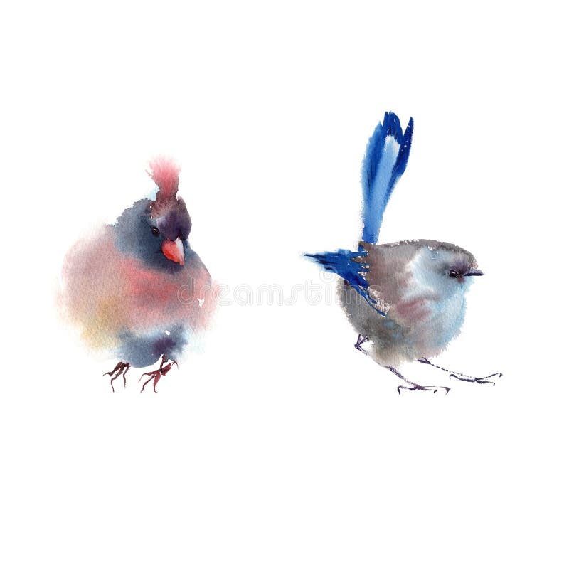 Winter Fluffy Soft Bird Hand Drawn Watercolor Stock Illustration ...