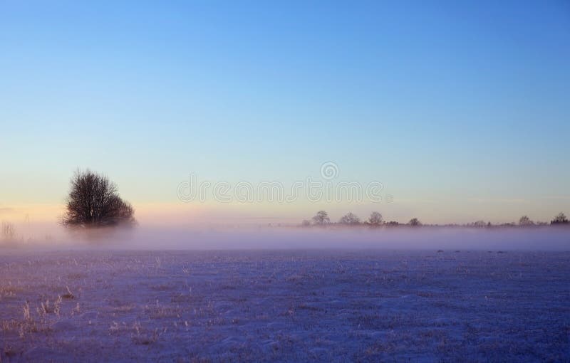 Winter fog stock image. Image of alone, nature, outdoor - 64681851