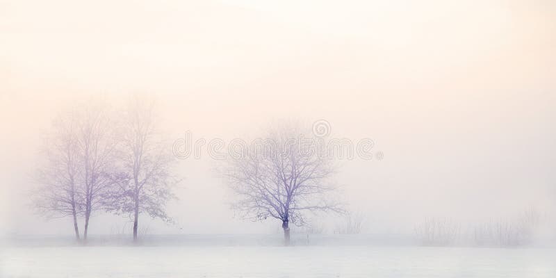 Winter, Fog, Freezing, Sky Picture. Image: 100260019