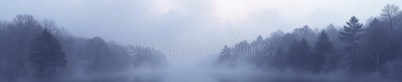 Winter Fog Obscures the Forest S Upper Canopy, Cloudy, Trees, Fog Stock ...