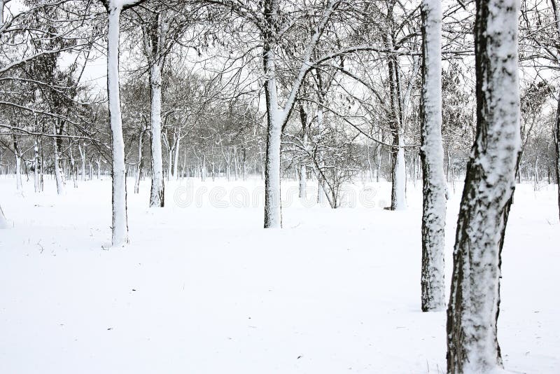 Winter panorama stock image. Image of cold, january, view - 12591253