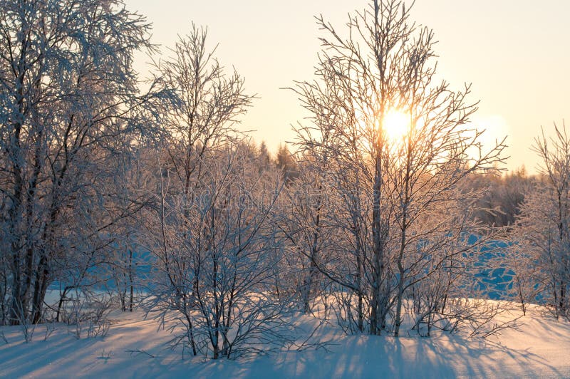 Sunset Over Winter Forest Lake Stock Photo - Image of landscape, north ...